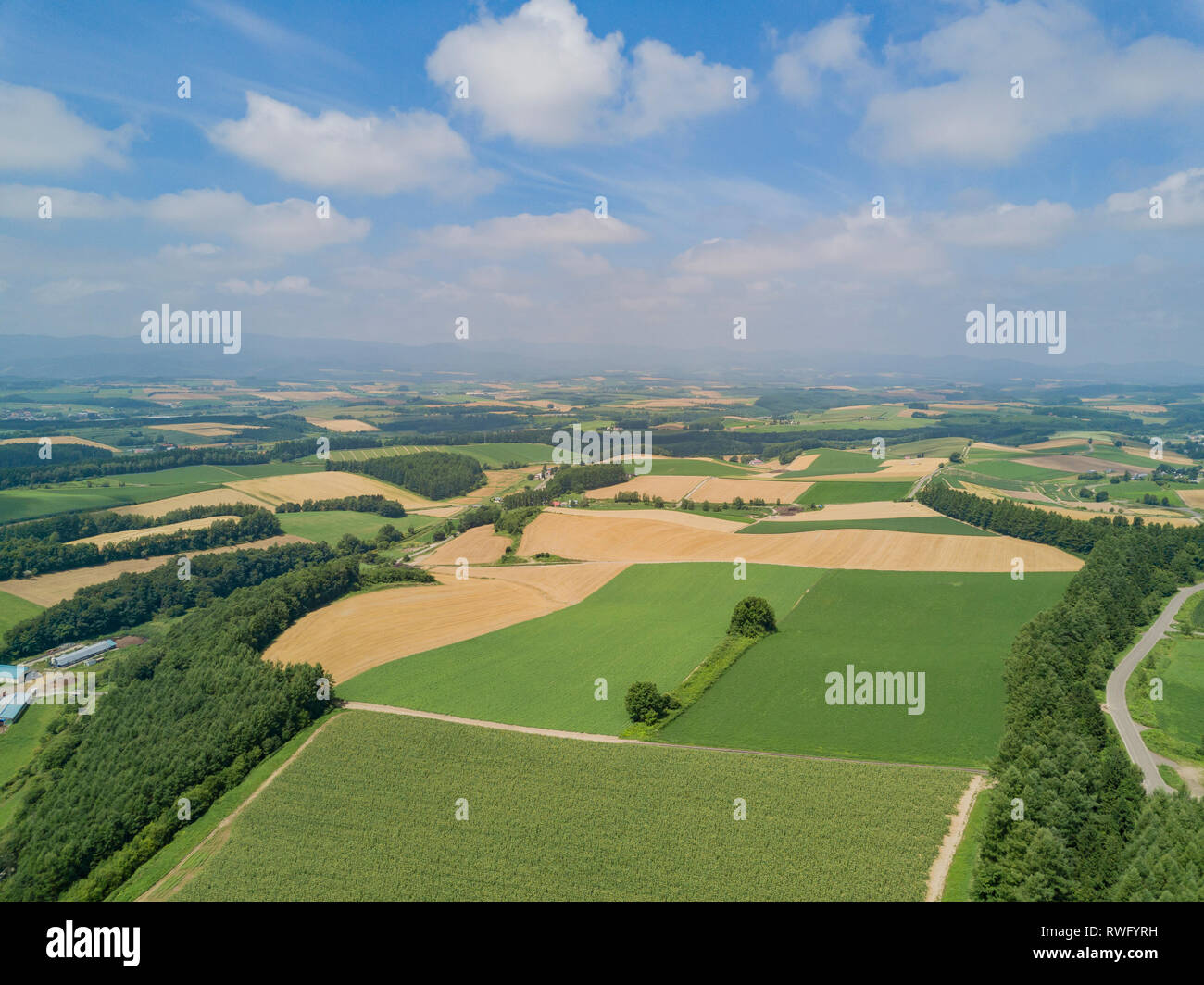 Large corn field hi-res stock photography and images - Alamy