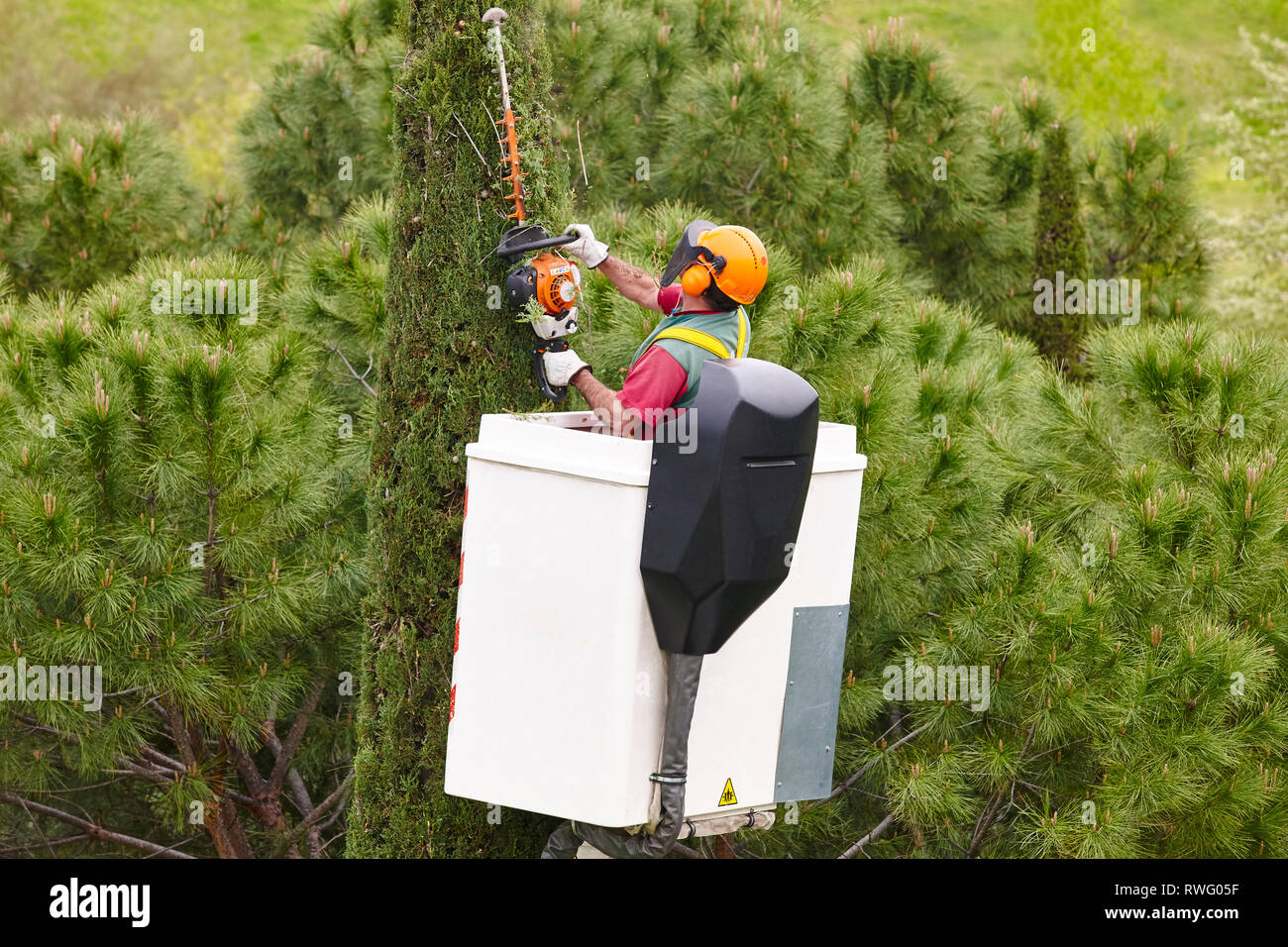 Equipped worker pruning a tree on a crane. Gardening works Stock Photo ...