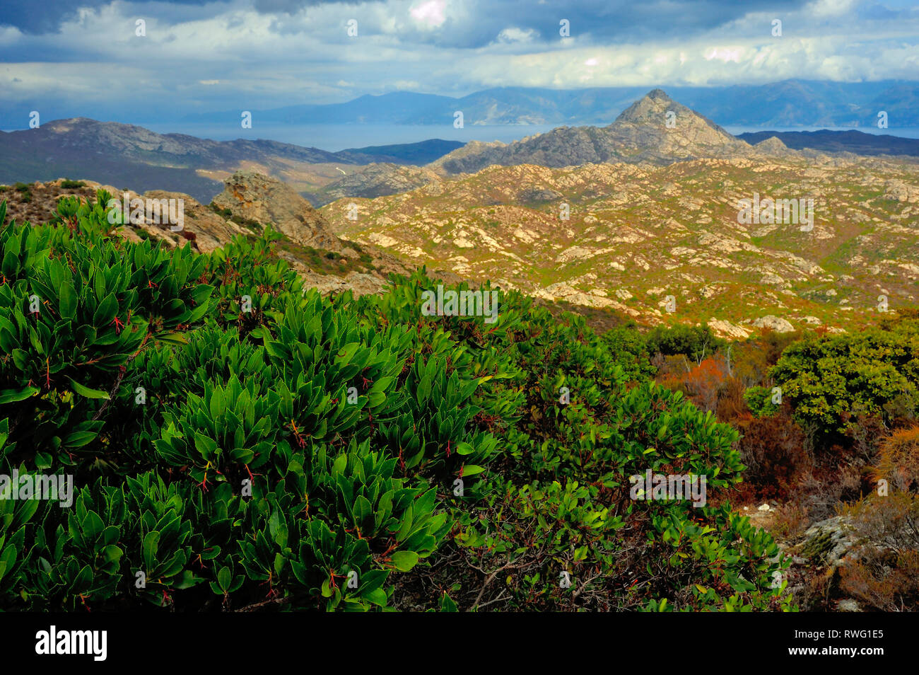 Cap corse corsica hi-res stock photography and images - Alamy
