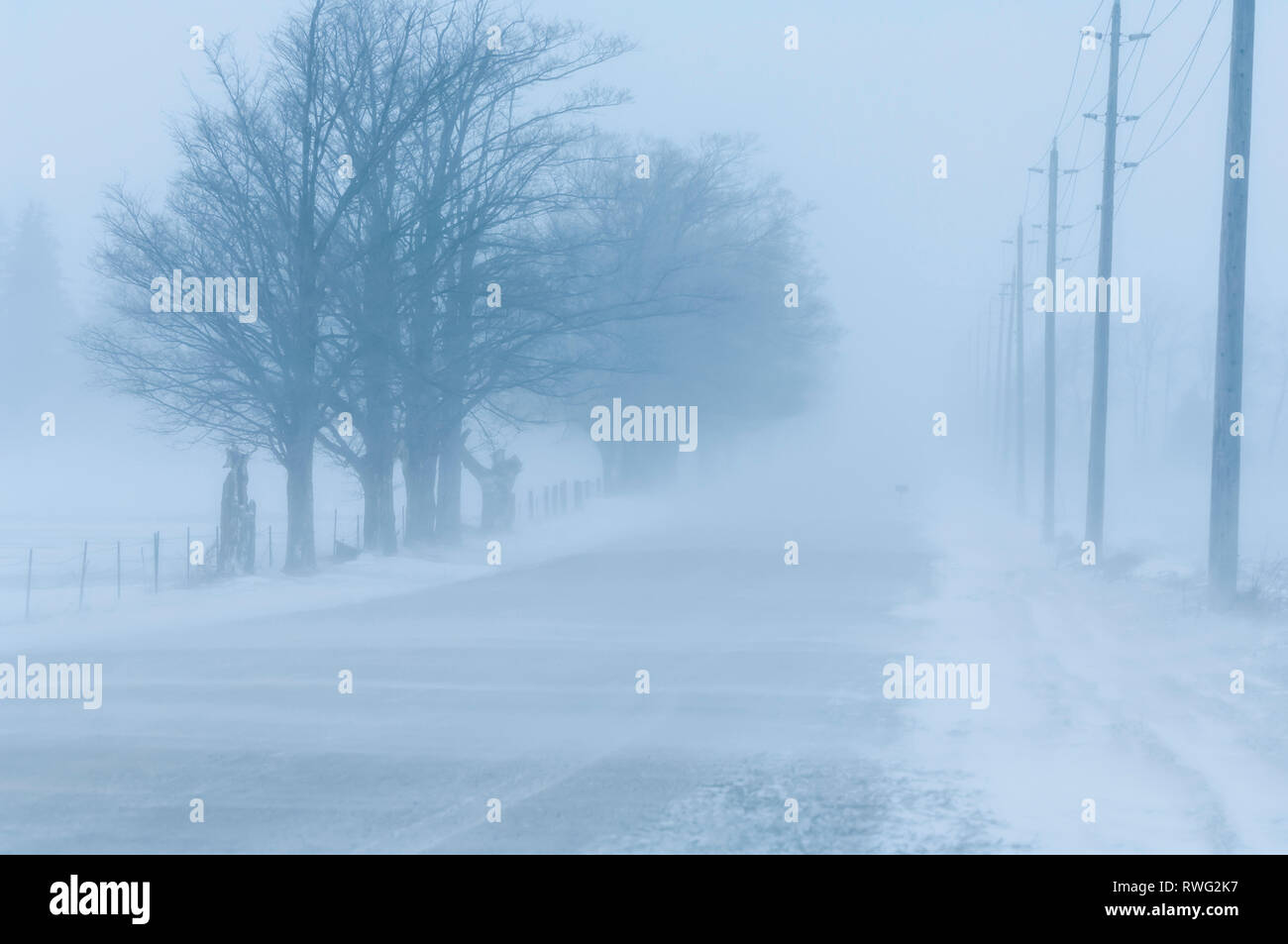 Gale force winds hi-res stock photography and images - Alamy