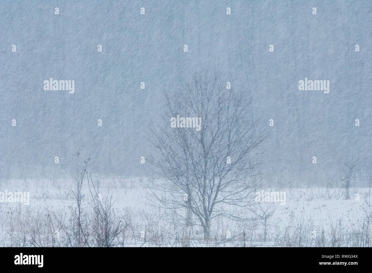 Heavy snowstorm hi-res stock photography and images - Alamy