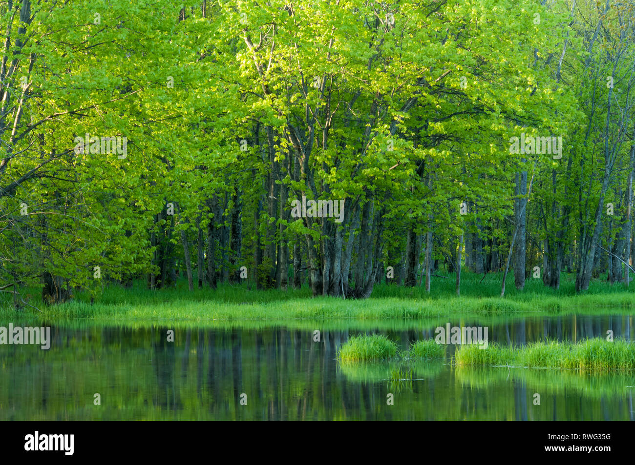 Backwater area hi-res stock photography and images - Alamy
