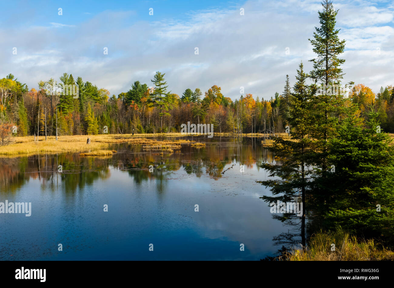 Haliburton ontario hi-res stock photography and images - Alamy