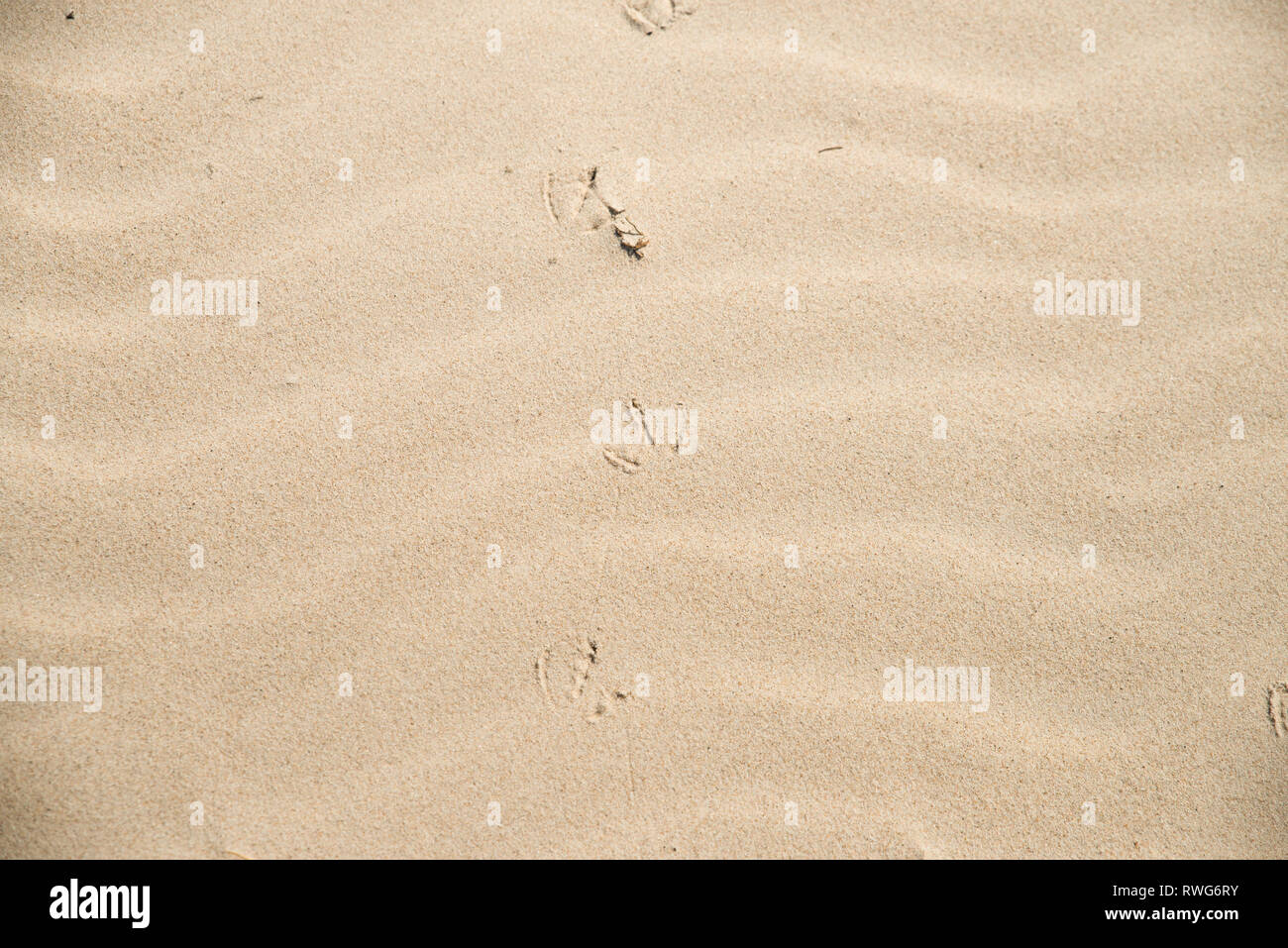 sand texture or background, dune Stock Photo - Alamy
