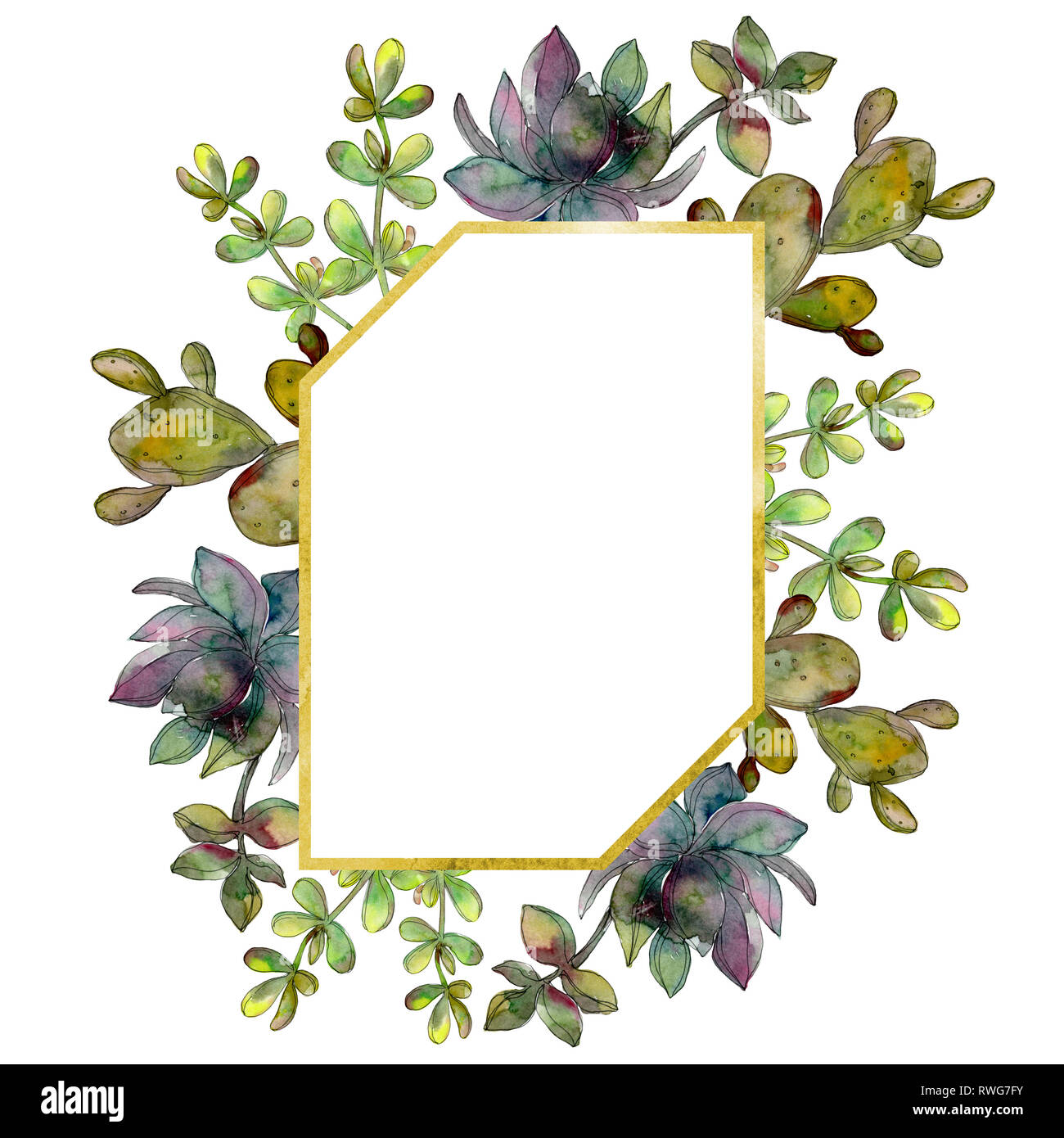 Watercolor Succulent Border