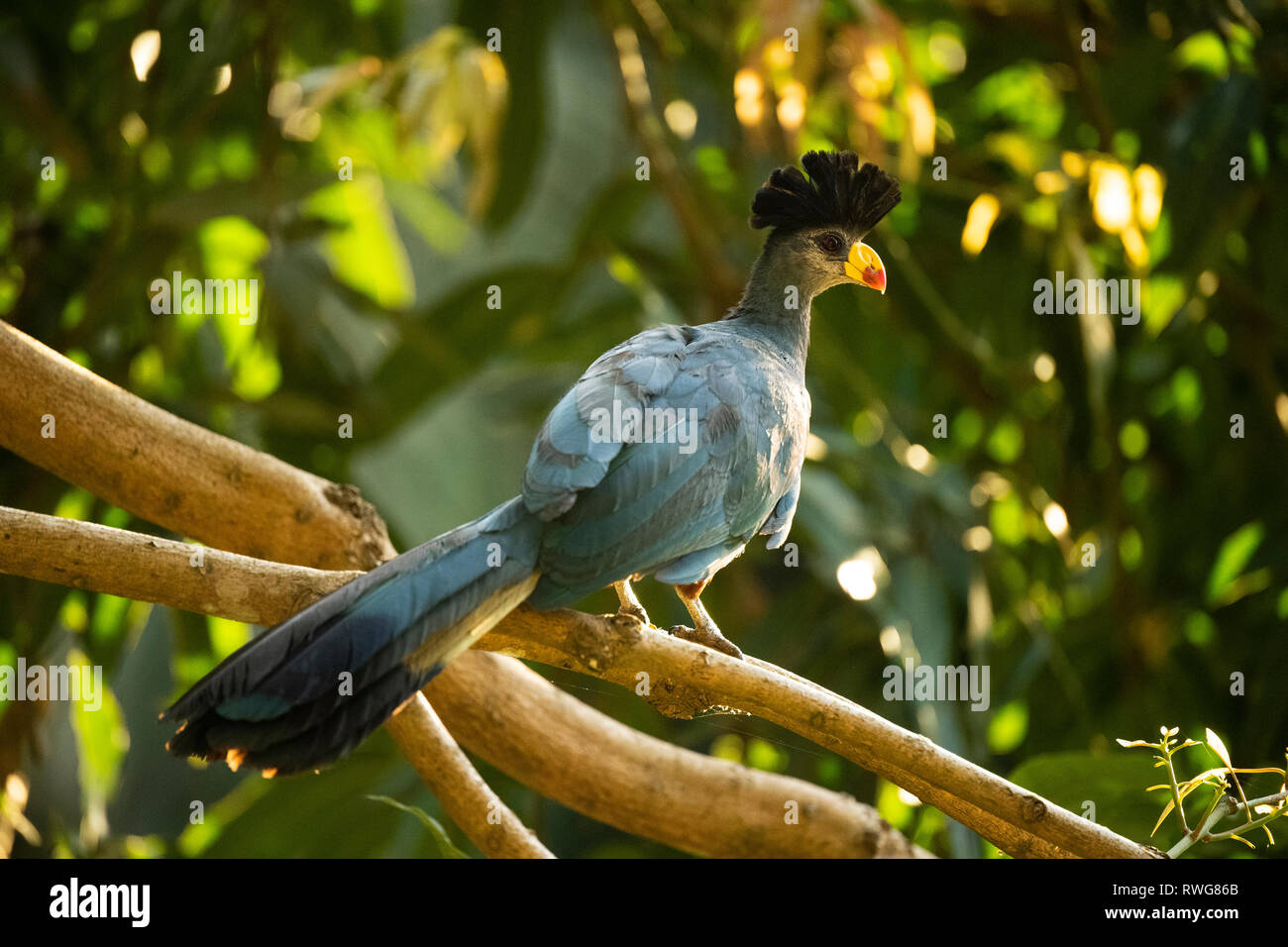 Indigenous reserves hi-res stock photography and images - Alamy