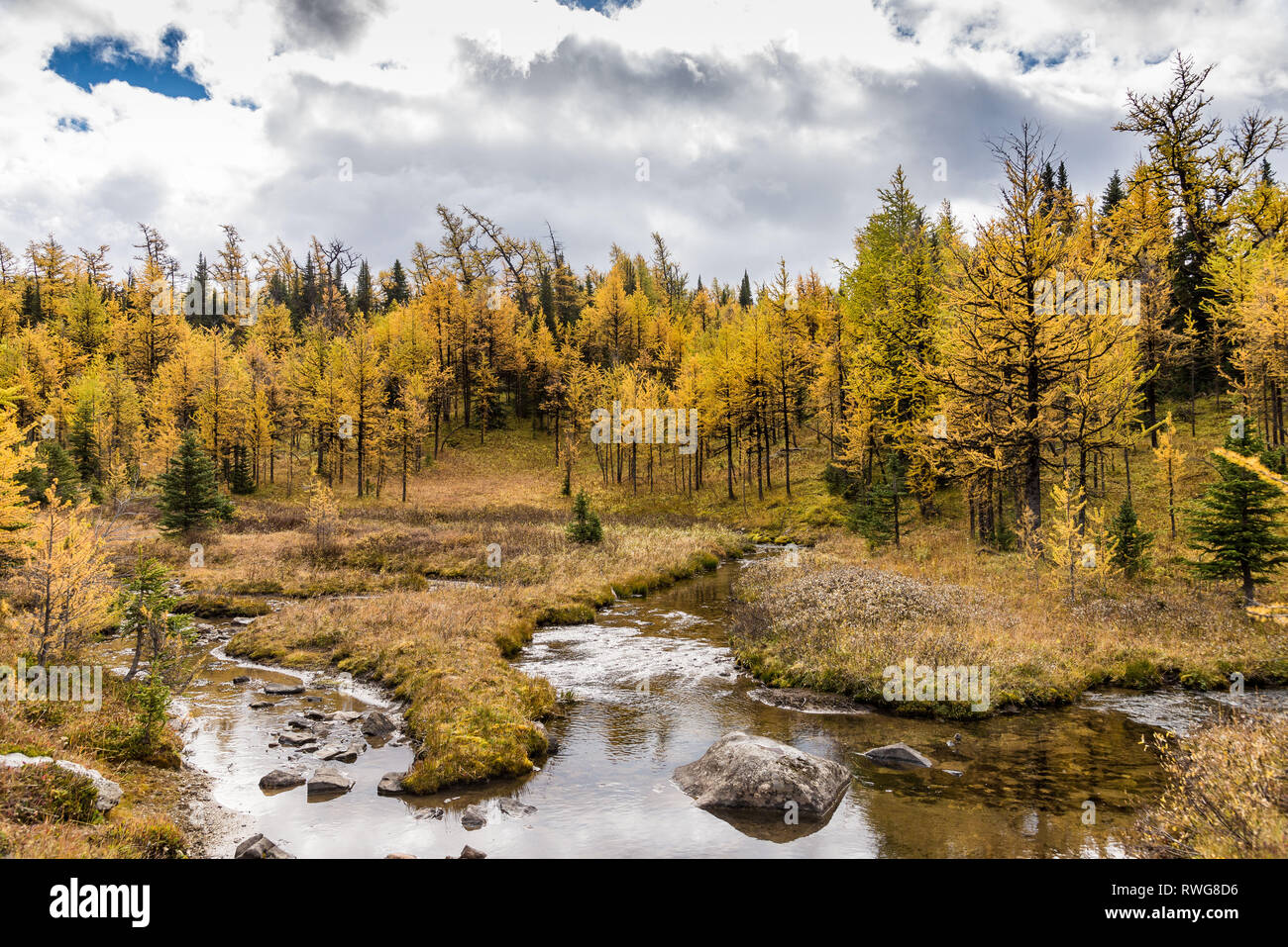 BANFF NATIONAL PARK, ALBERTA / CANADA, SEPTEMBER 18 2016: Rock Island ...