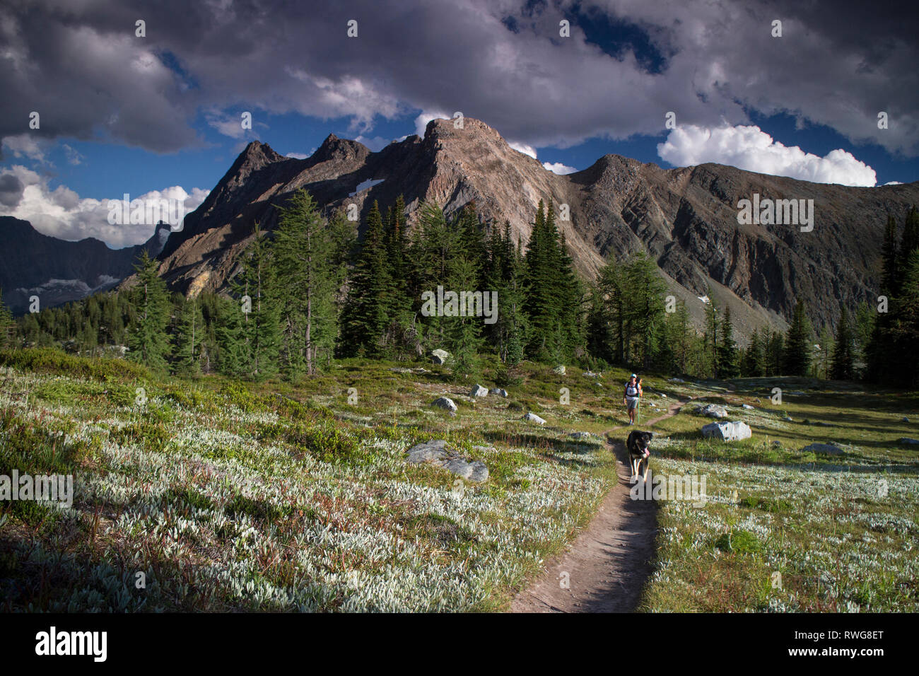 Hiking at Jumbo Pass, BC, Jumbo, Cabin Stock Photo - Alamy