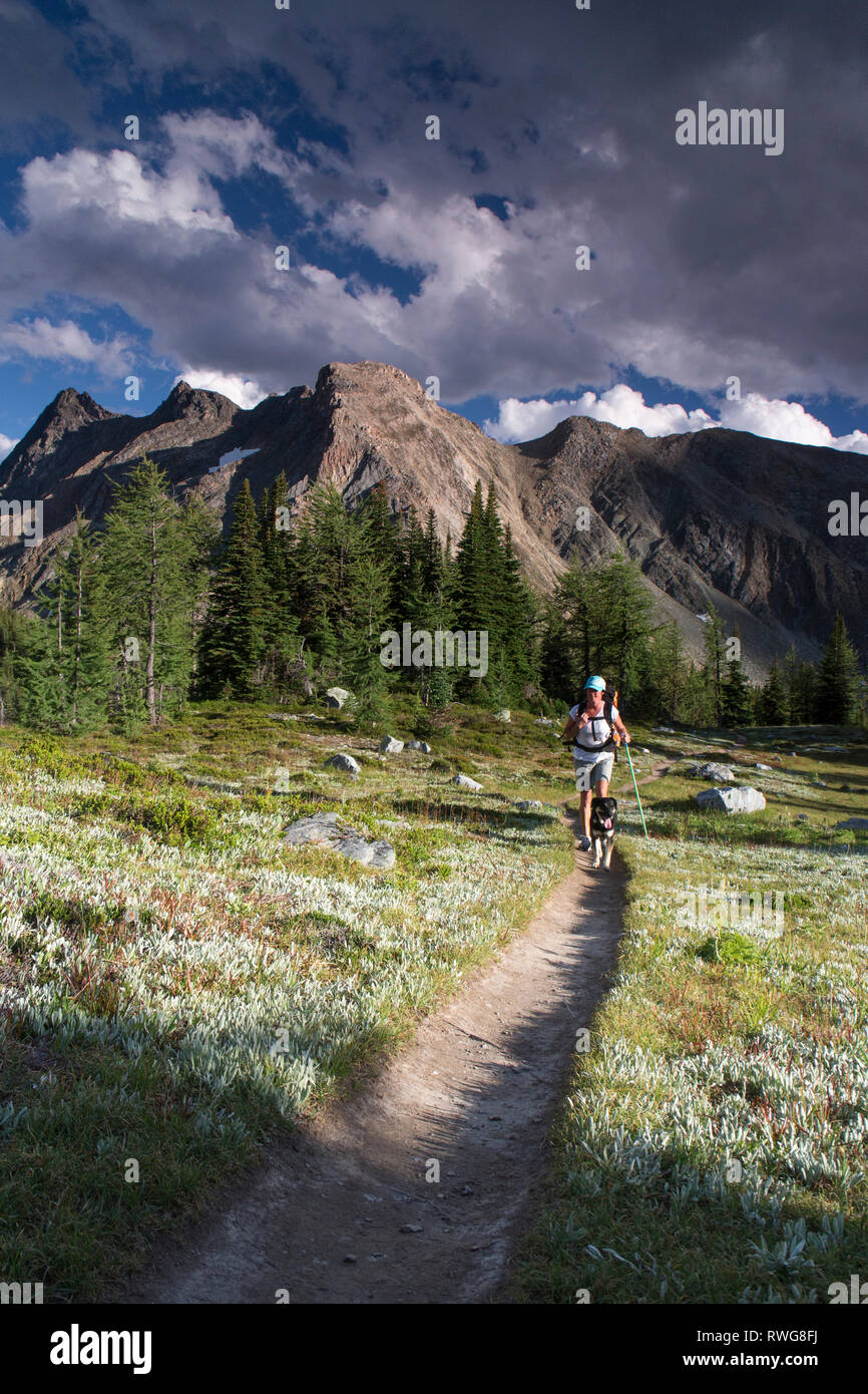 Hiking at Jumbo Pass, BC, Jumbo, Cabin Stock Photo - Alamy