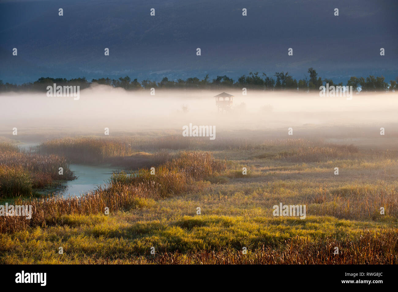 Creston valley wetlands hi-res stock photography and images - Alamy