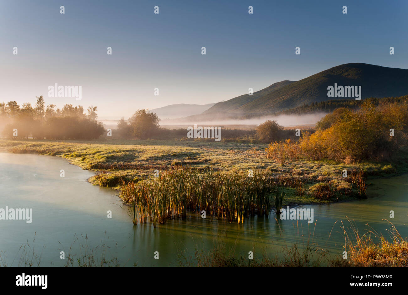 Creston valley wetlands hi-res stock photography and images - Alamy