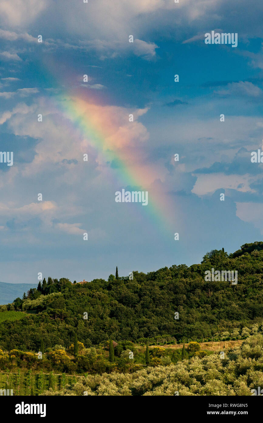Rainbow olive grove olives hi-res stock photography and images - Alamy