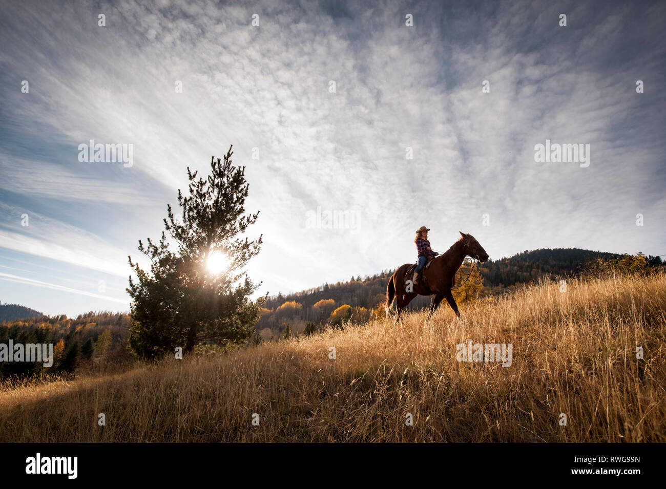 Female horseback riding hi-res stock photography and images - Alamy