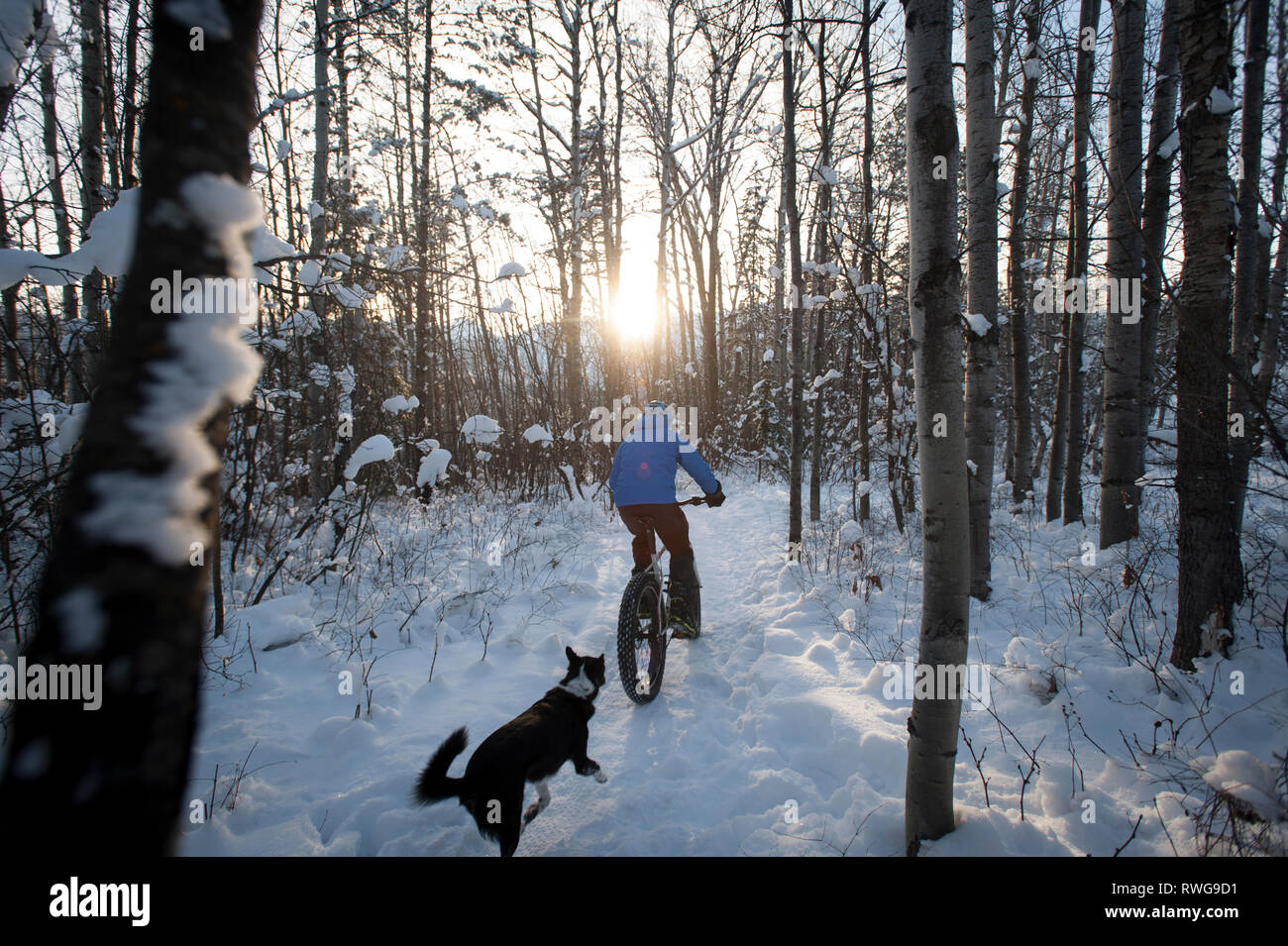 Fat biking hi-res stock photography and images - Alamy
