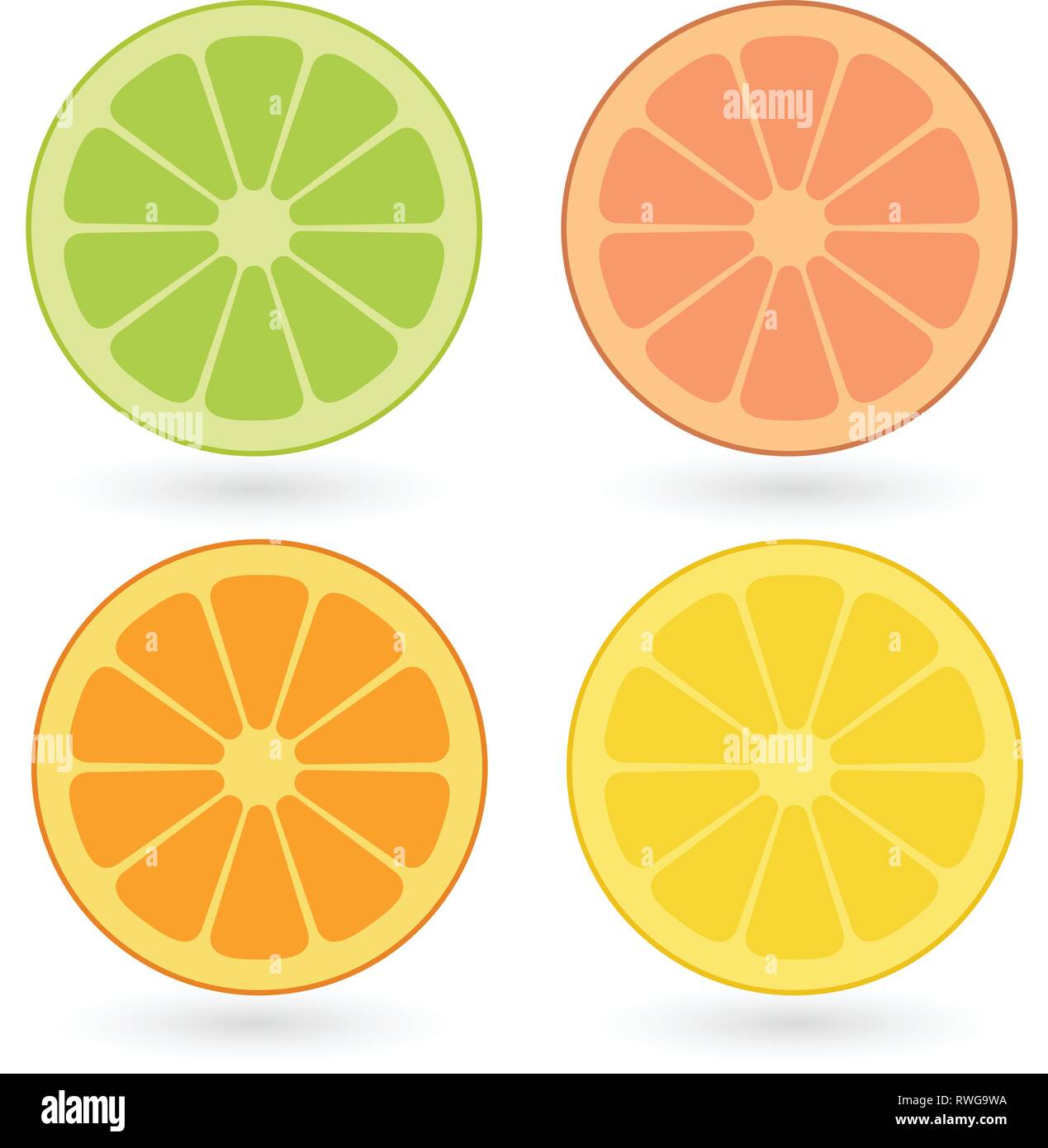 Vector set of lemon, orange, lime, grapefruit slices isolated on white background Stock Vector ...