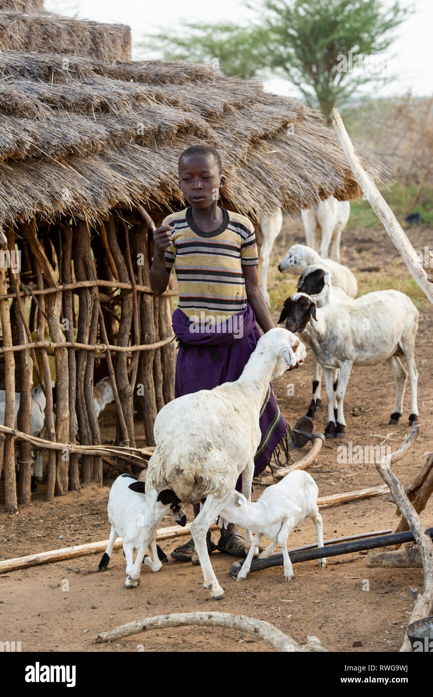Karamojong boy with sheep in the village, northern Uganda Stock Photo ...