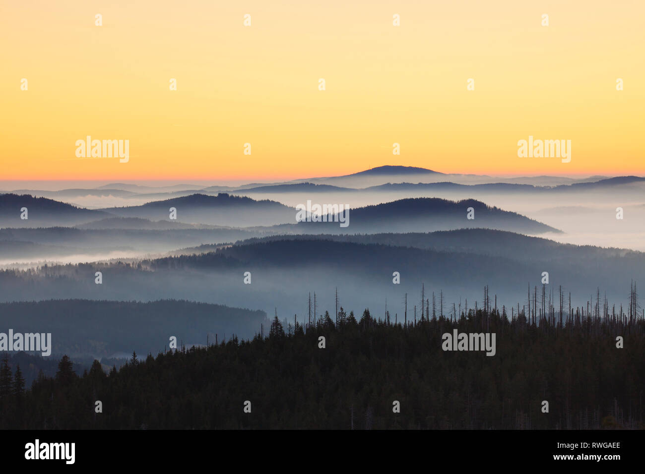 Lusen hi-res stock photography and images - Alamy