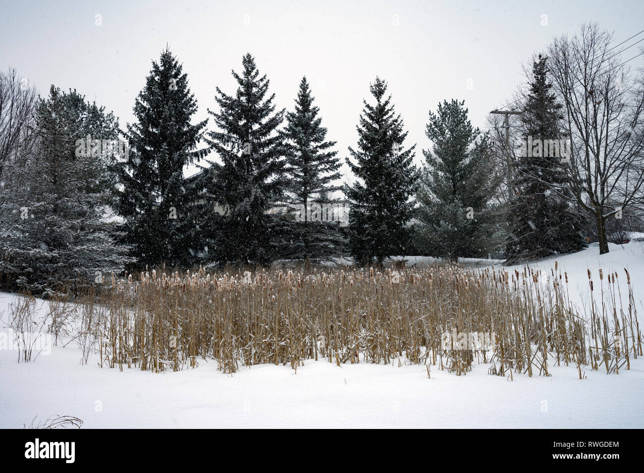 Winter scene from Canada Stock Photo - Alamy