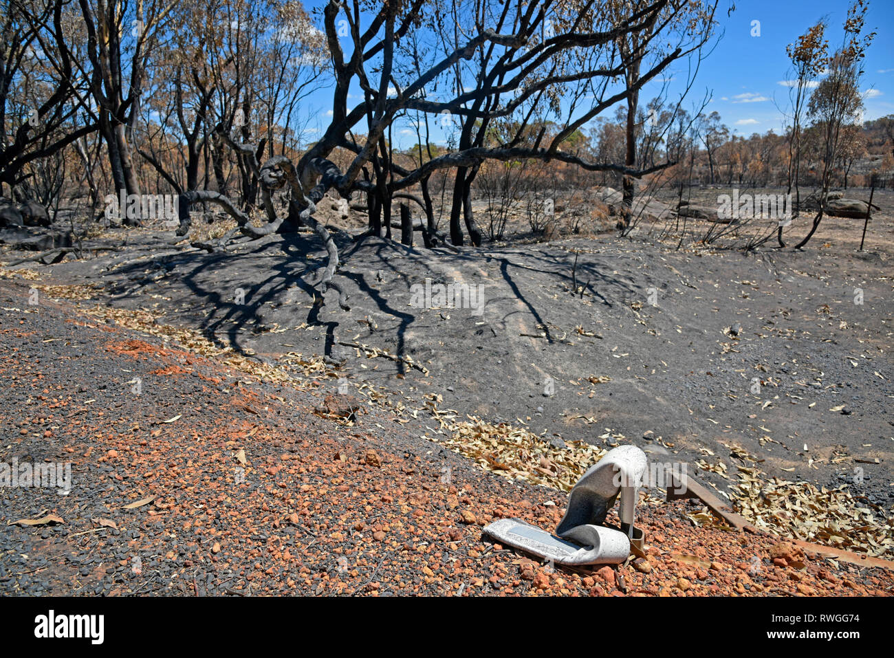 Aftermath of the 2019 bushfire in Tingha in northern new south wales ...