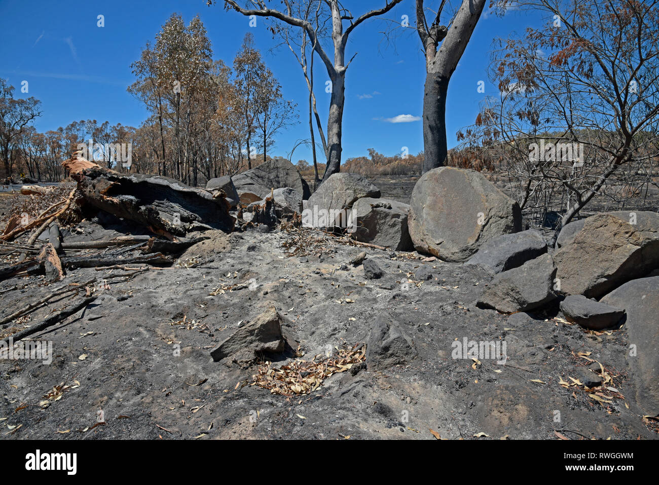 Aftermath of the 2019 bushfire in Tingha in northern new south wales ...