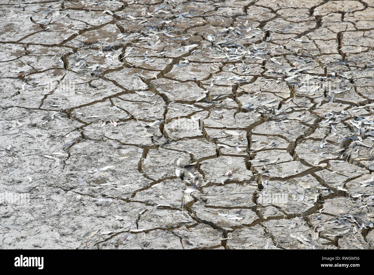deeply cracked ground in outback Australia during devastating drought ...