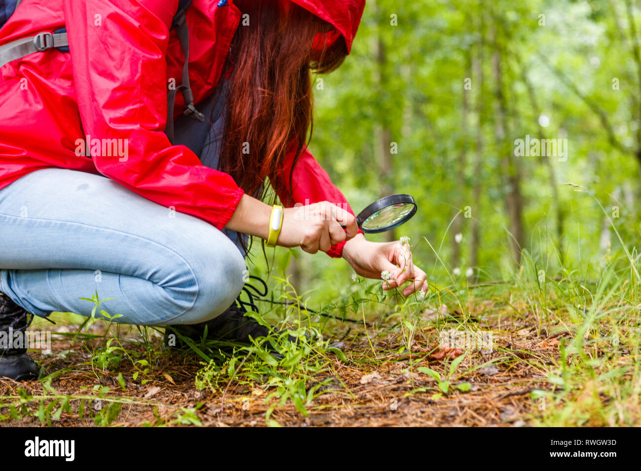 Image of girl with magnifying glass Stock Photo - Alamy