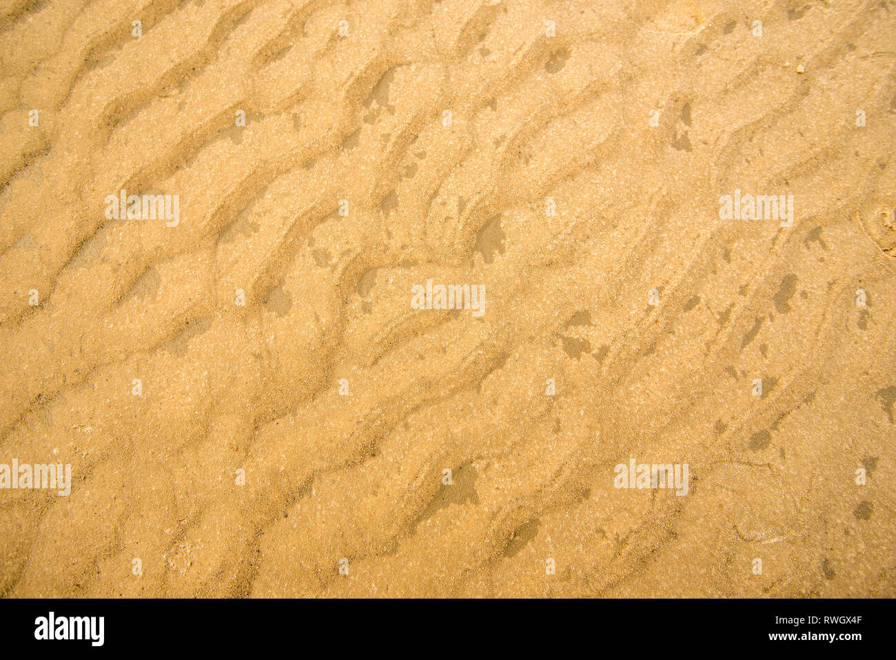 Sand of a beach with patterns Stock Photo - Alamy