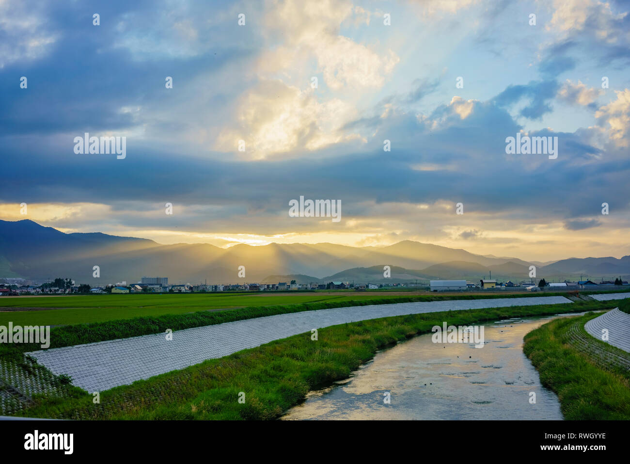 Beautiful sunset landscape with corn farm at Hokkaido, Japan Stock ...