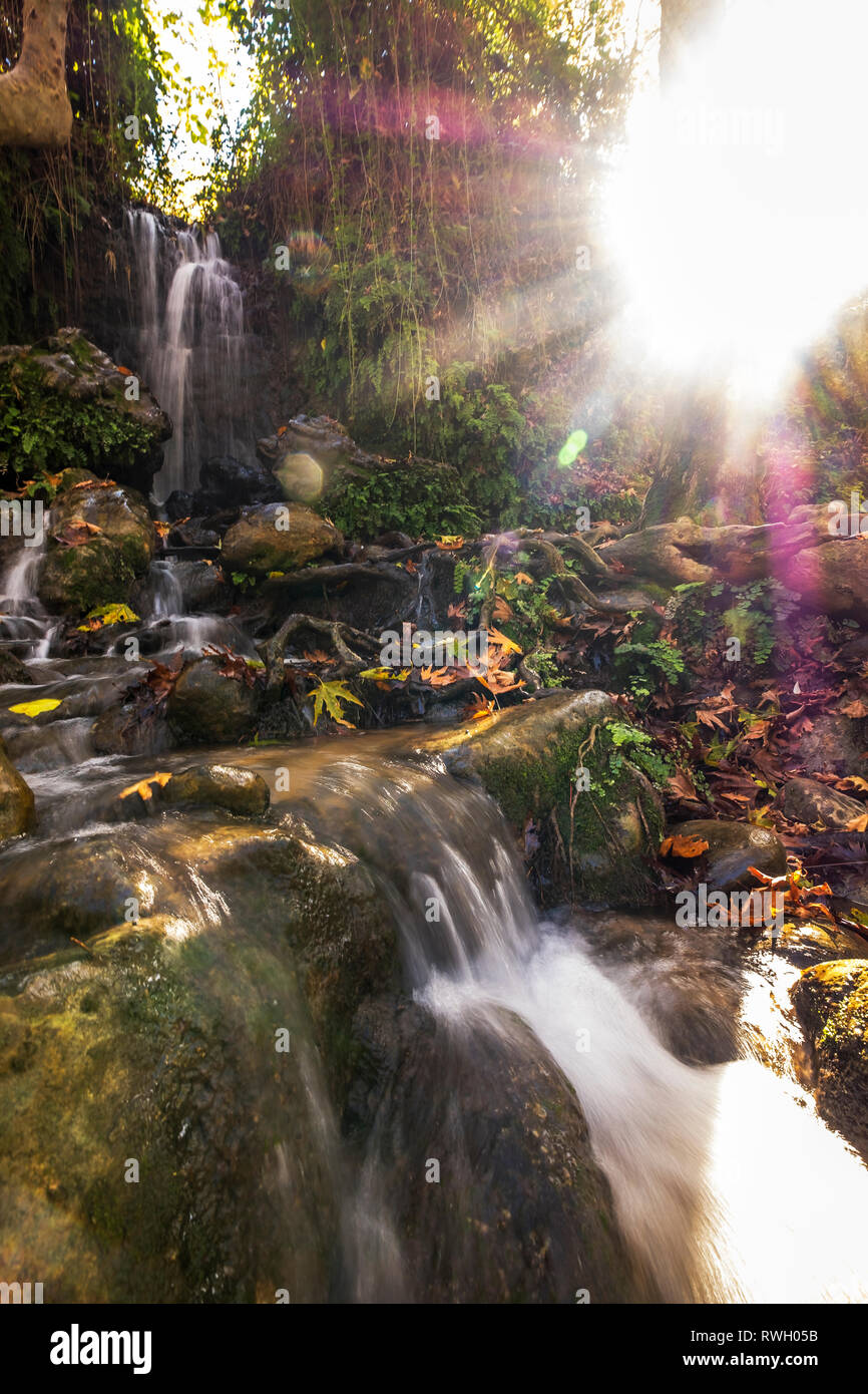 waterfall at Snir river nature reserve, Israel Stock Photo - Alamy
