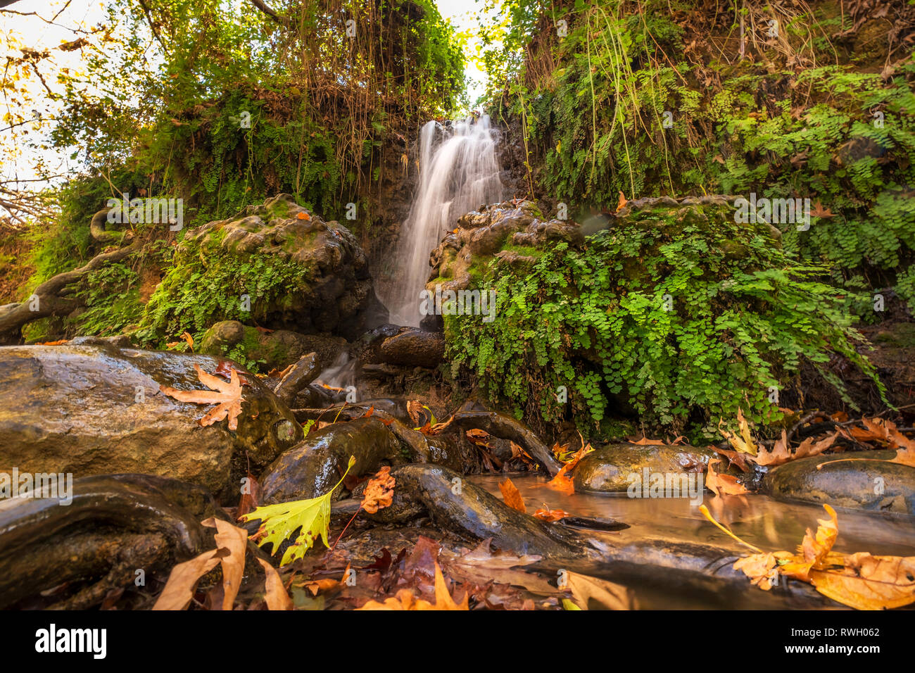 waterfall at Snir river nature reserve, Israel Stock Photo - Alamy
