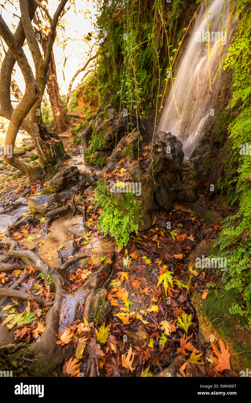 waterfall at Snir river nature reserve, Israel Stock Photo - Alamy