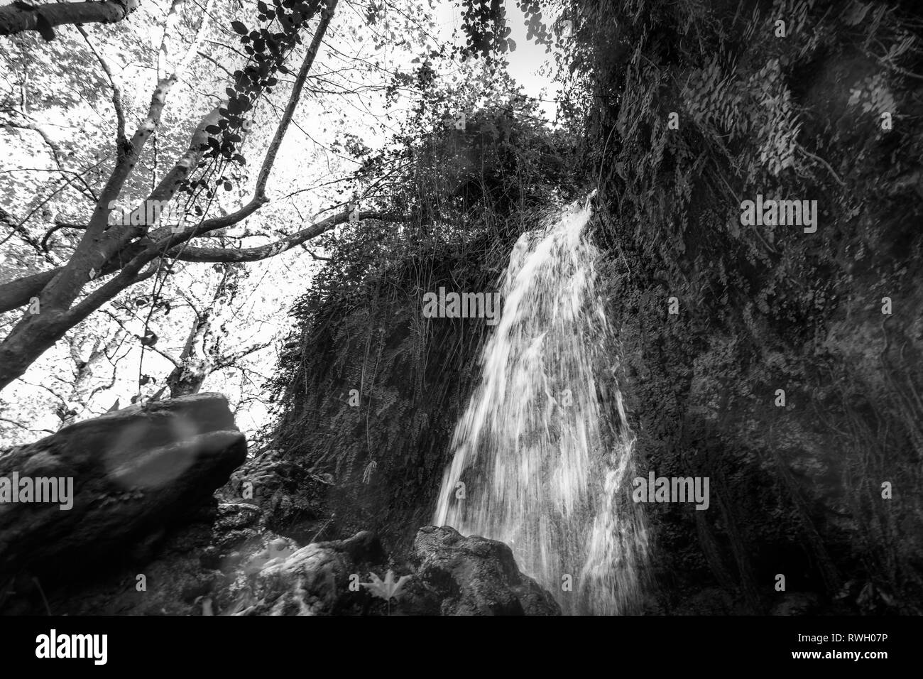 black&white waterfall at Snir river nature reserve, Israel Stock Photo ...