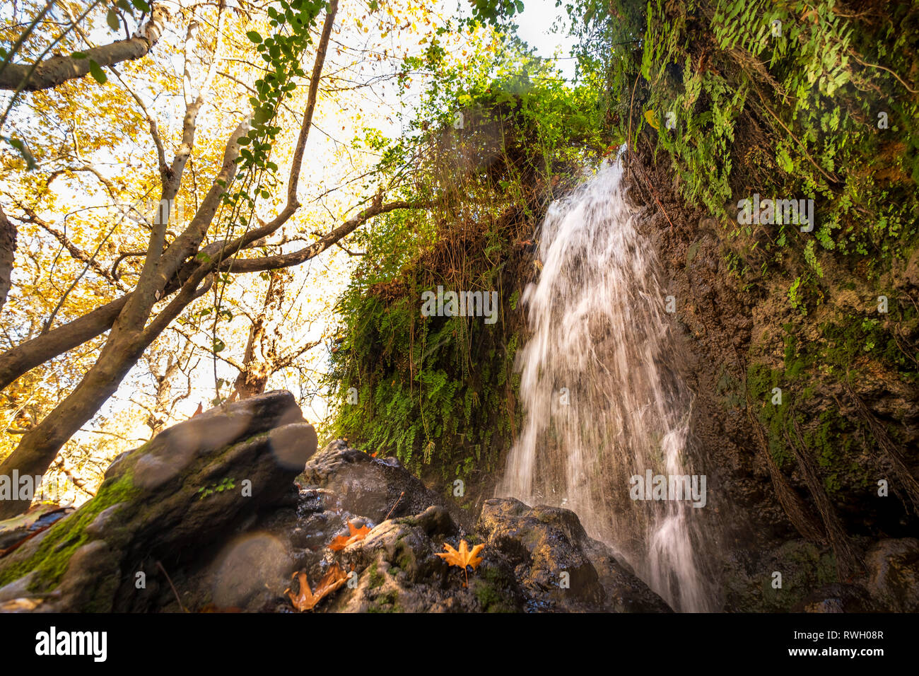 waterfall at Snir river nature reserve, Israel Stock Photo - Alamy