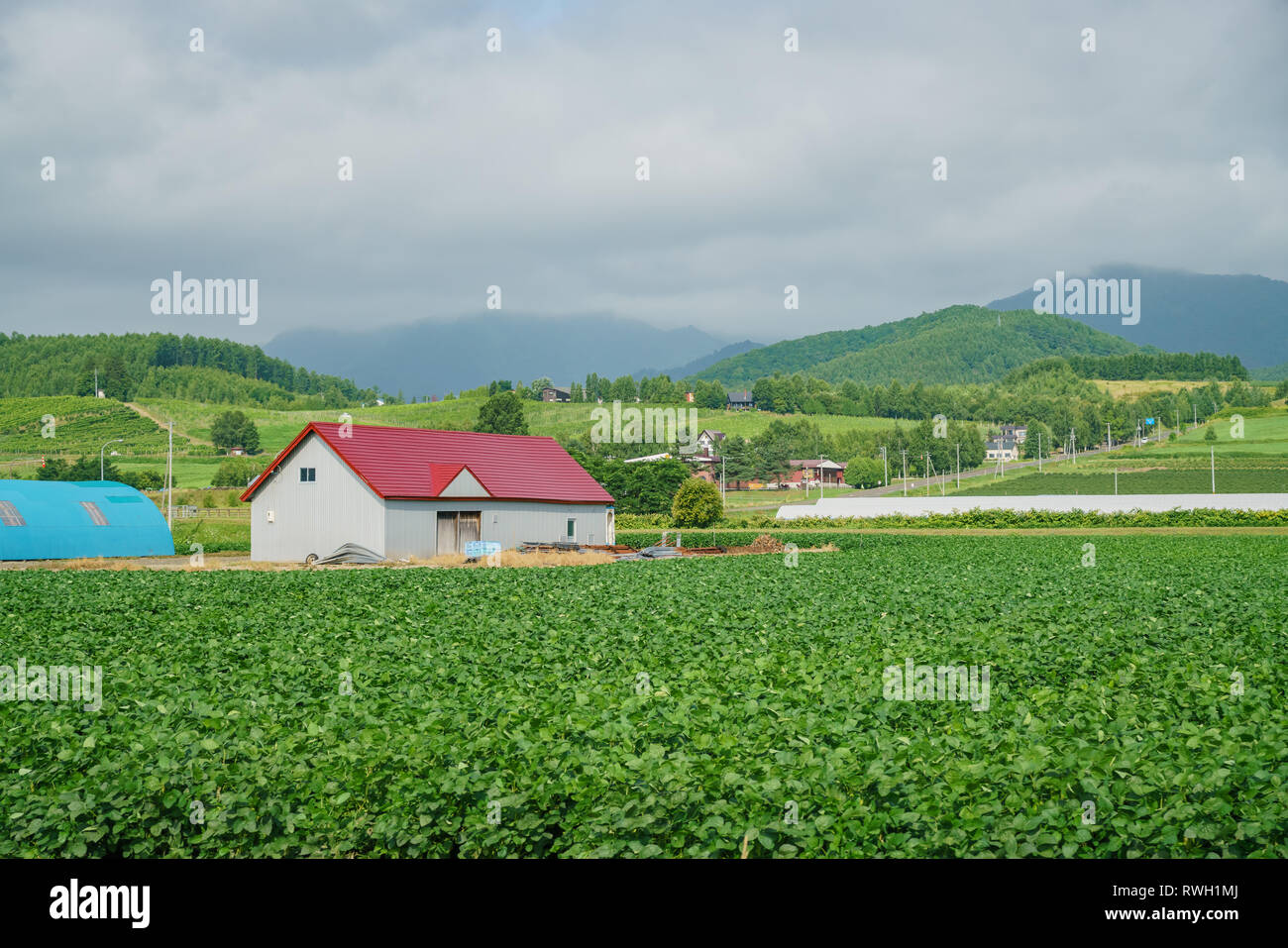 Japan organic farm hi-res stock photography and images - Alamy