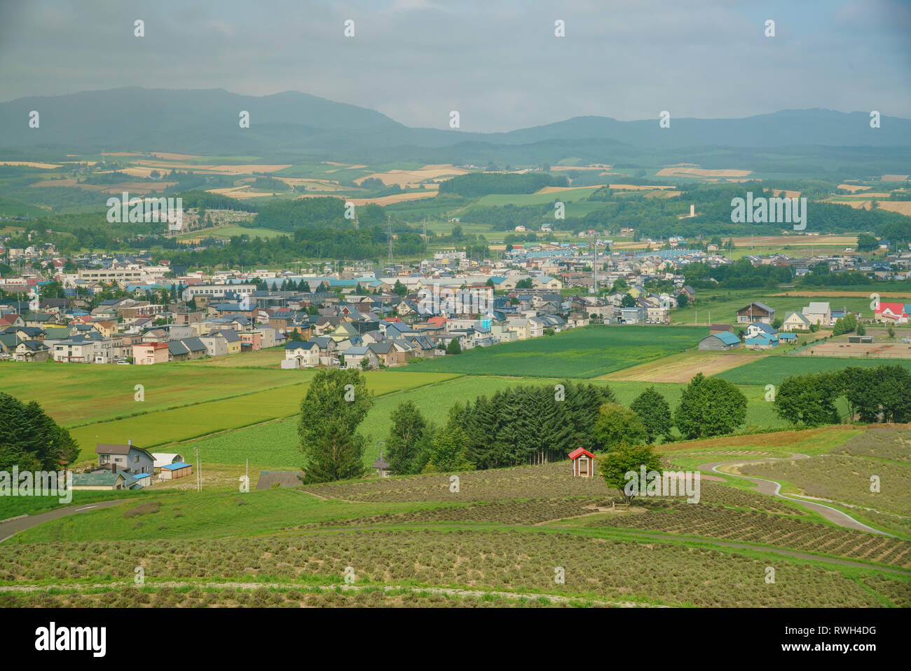 Aerial view of the Furano cityscape with flower blossom below at ...