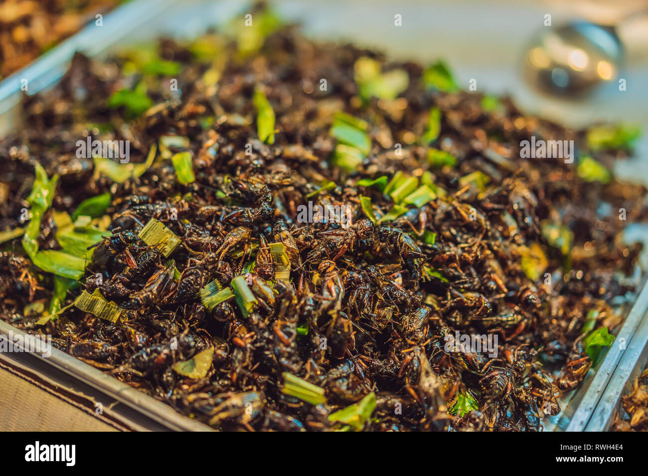 Fried insects, Bugs fried on Street food in thailand Stock Photo - Alamy