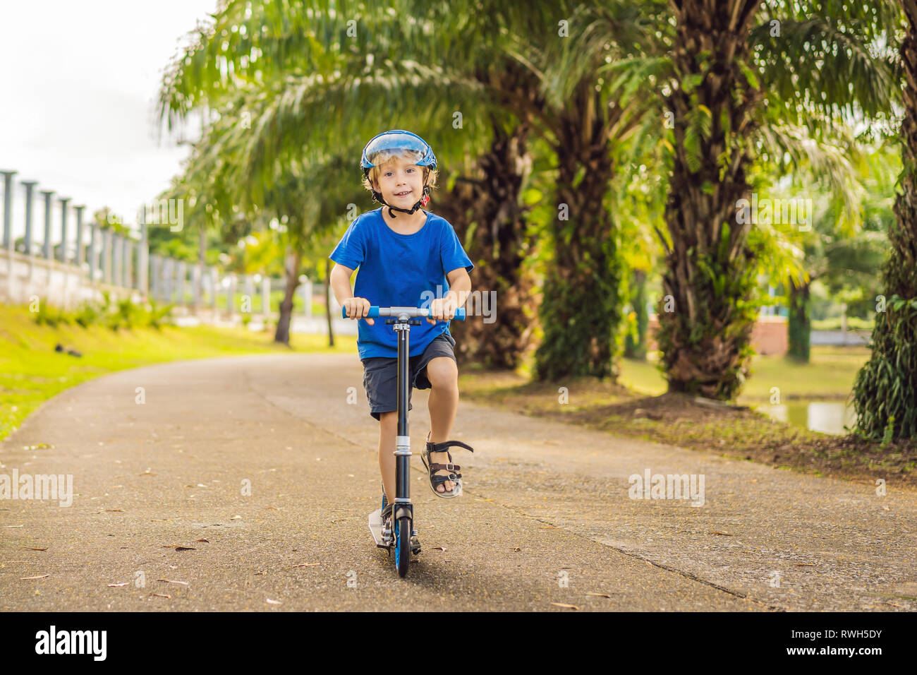 Boy riding scooters, outdoor in the park, summertime. Kids are happy ...