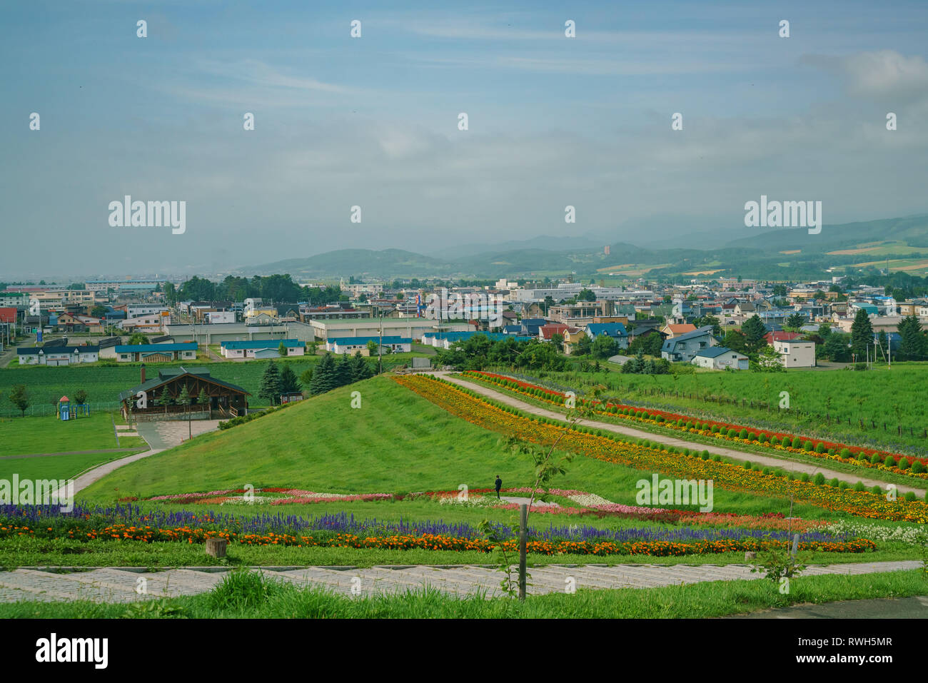 Aerial view of the Furano cityscape with flower blossom below at ...