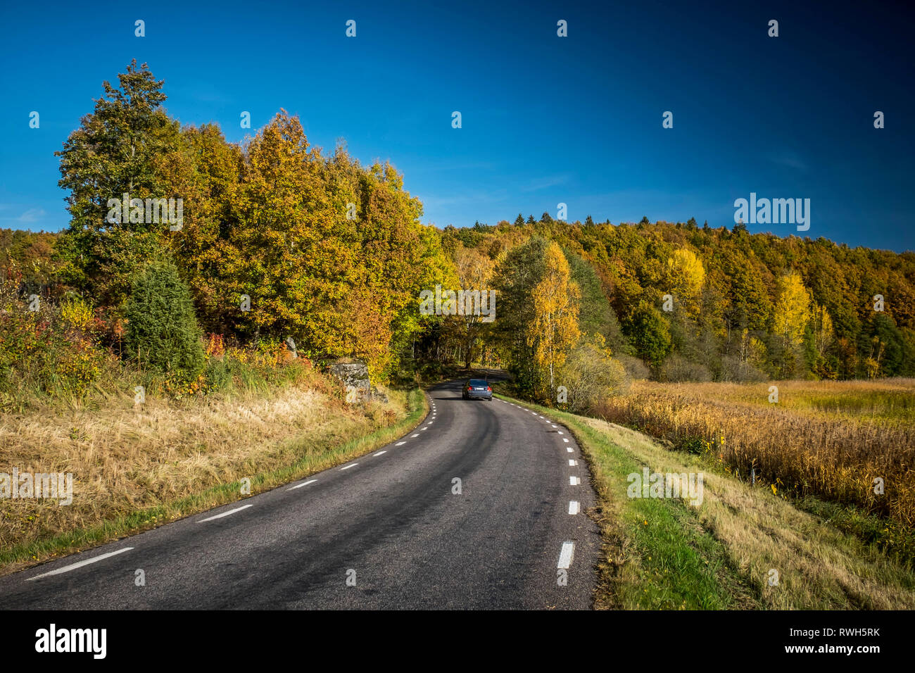 Country road in autumn Stock Photo - Alamy