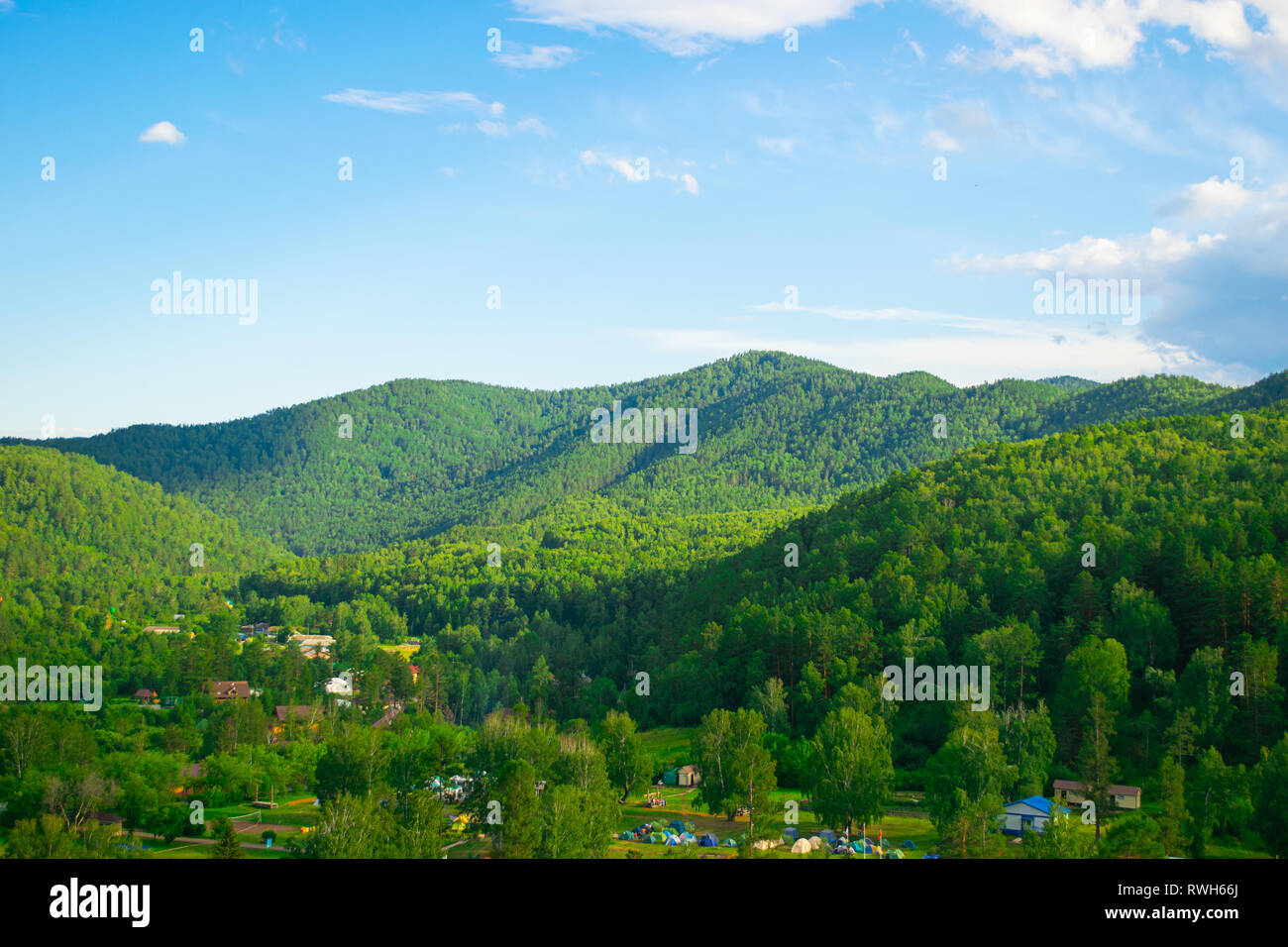 Magnificent green hills and forest with various trees against the blue ...