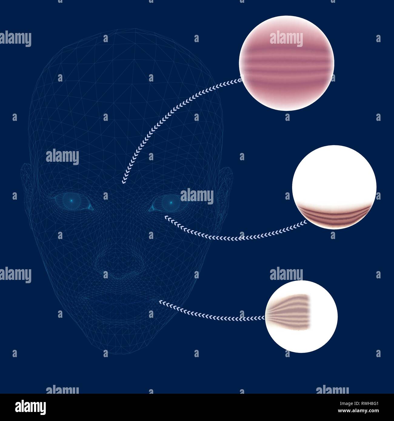 Enlarged head Stock Vector Images - Alamy