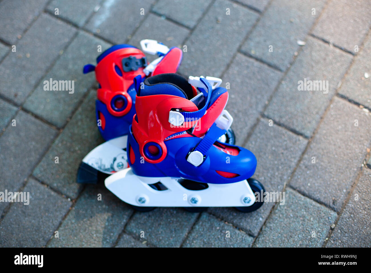 Close up view of inline skate or rollerblade Stock Photo - Alamy