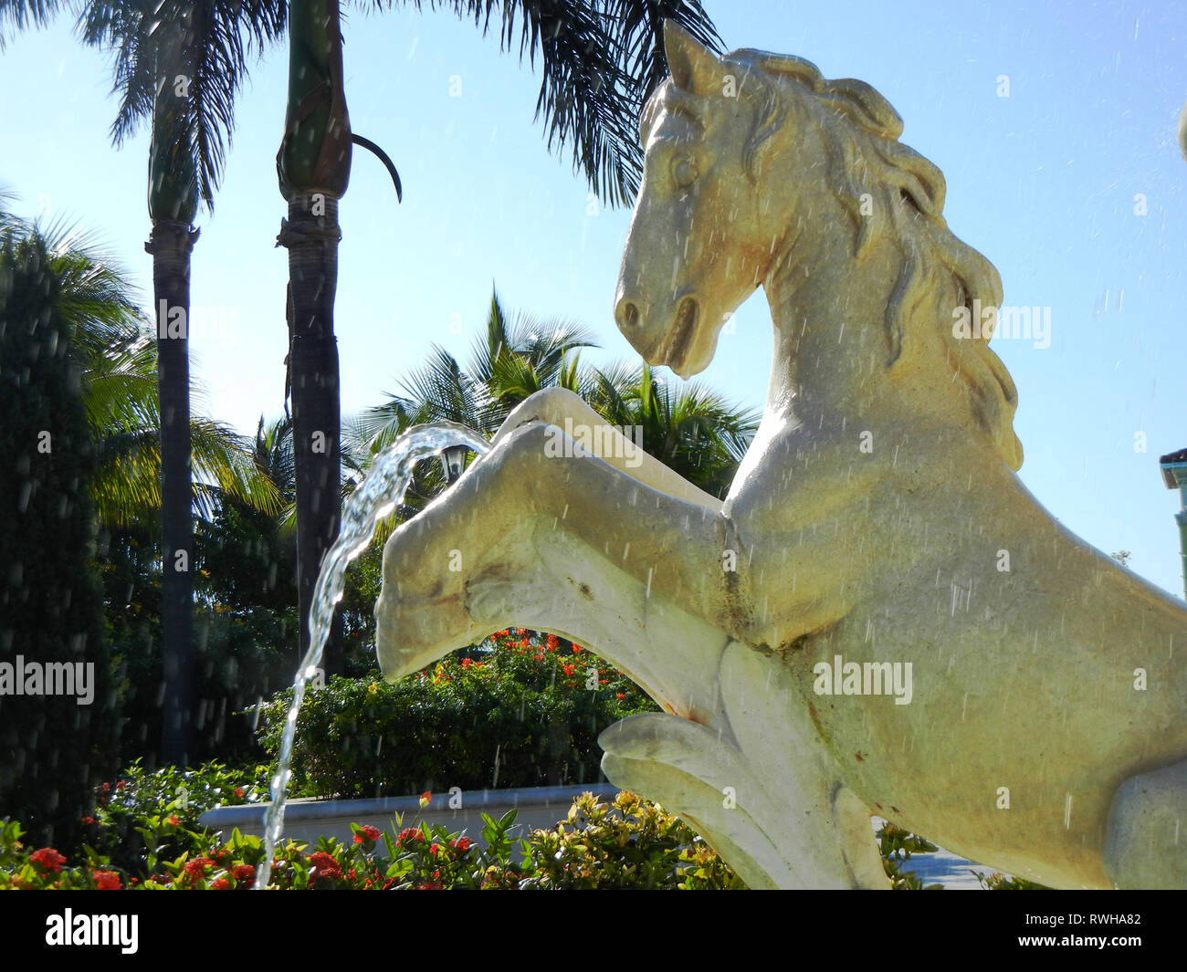 tropical water fountain marble Stock Photo - Alamy