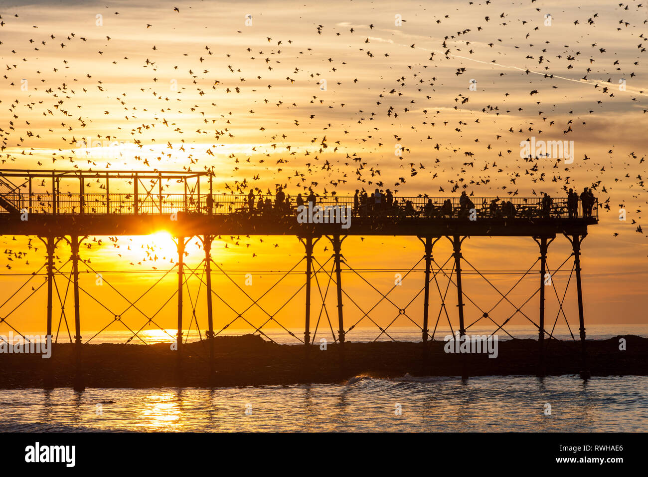 Mumuration hi-res stock photography and images - Alamy