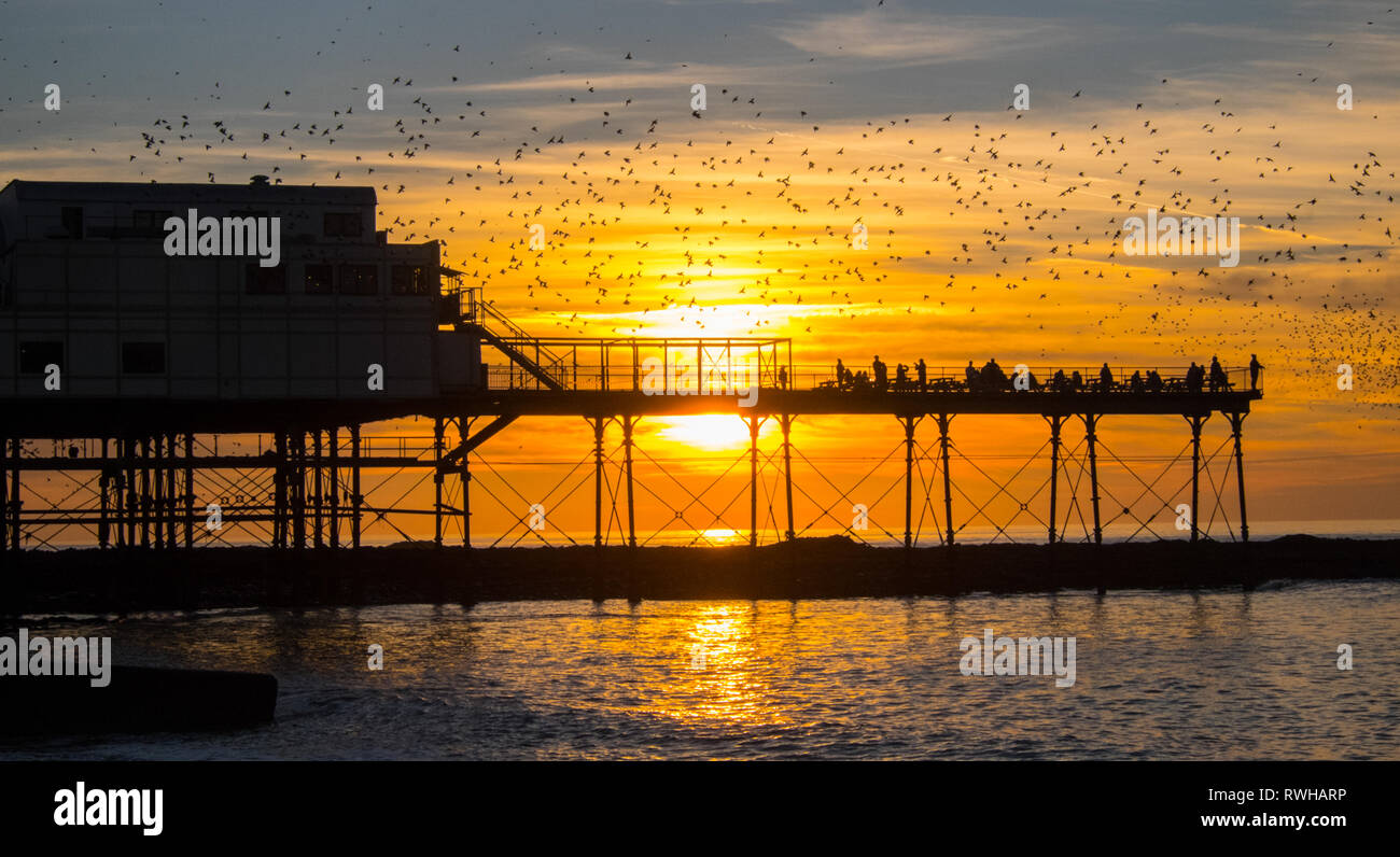 Mumuration hi-res stock photography and images - Alamy