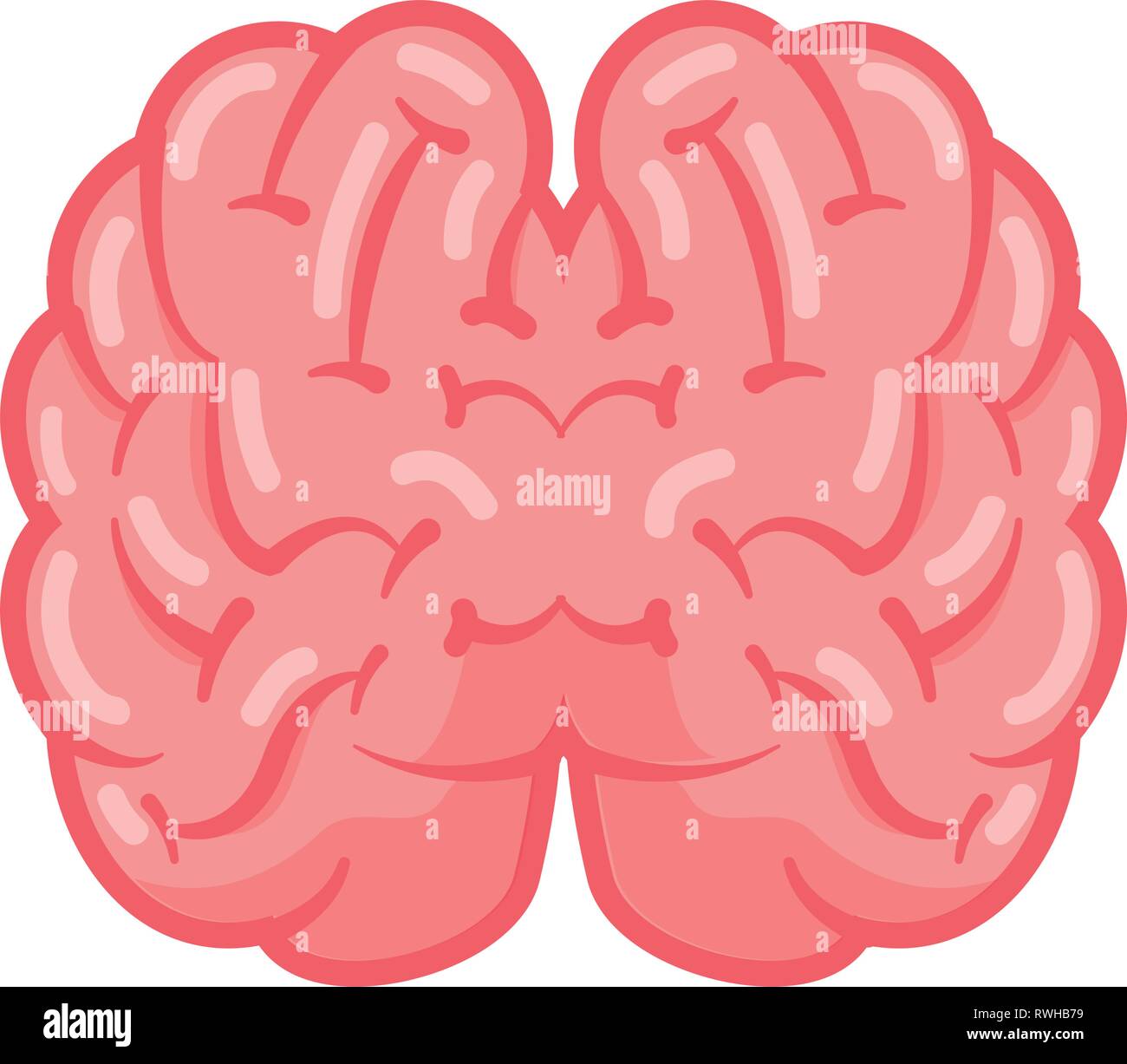 top view human brain Stock Vector Image & Art - Alamy