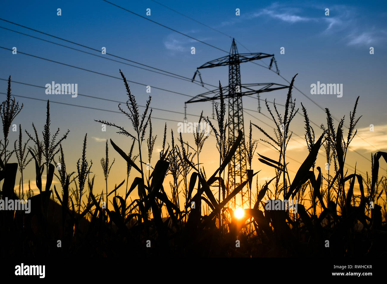 Electrical power line hi-res stock photography and images - Alamy