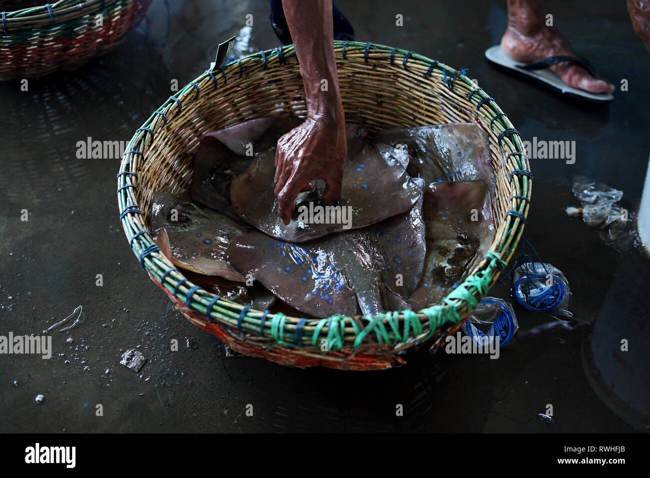 Fresh stingray for sale in Traditional Seafood market Stock Photo - Alamy