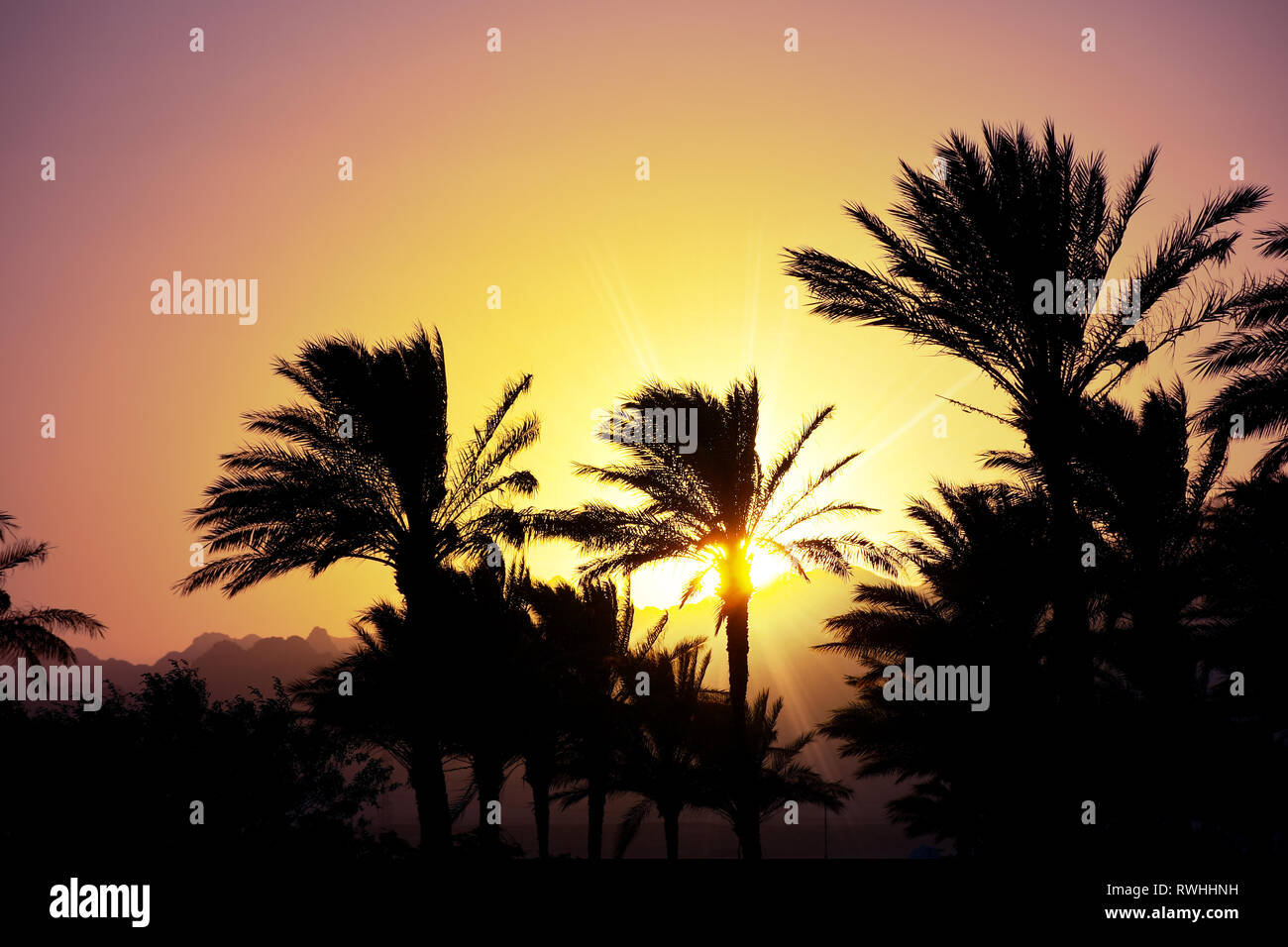 Orange hot sun light beams hi-res stock photography and images - Alamy