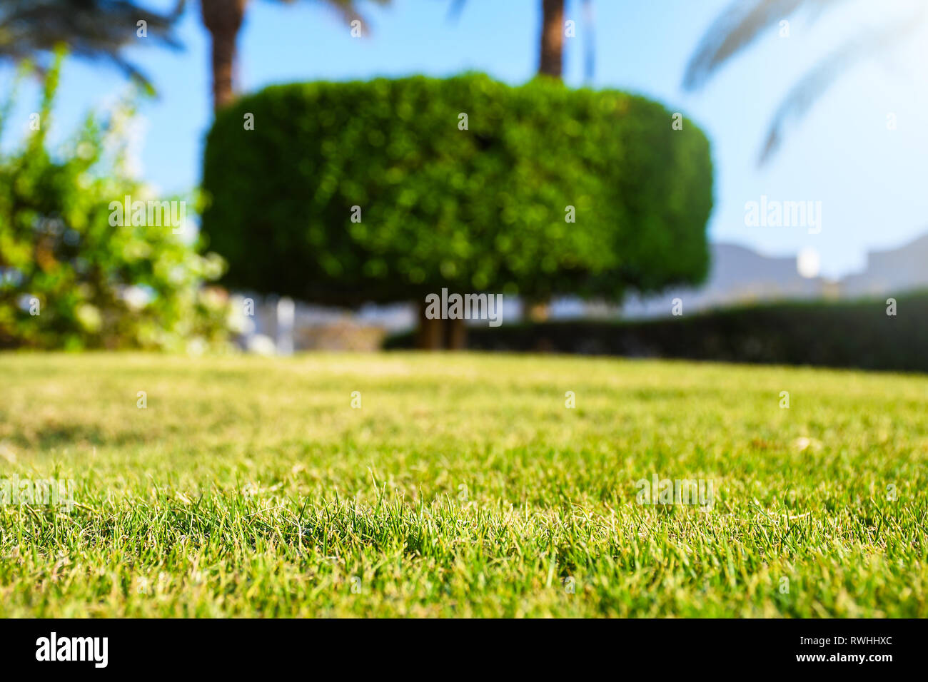 Topiary handmade hi-res stock photography and images - Alamy